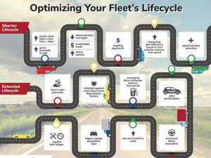 Optimizing Your Fleet's Lifecycle Infographic | Merchants Fleet